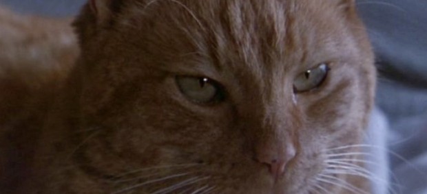 Jones – o verdadeiro oitavo passageiro - Boca do Inferno