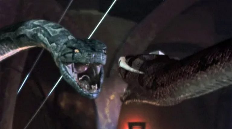 Boa vs. Python: As Predadoras (2004) - Boca do Inferno